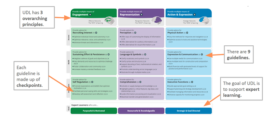 CAST & the UDL Guidelines | Open Access 2.0